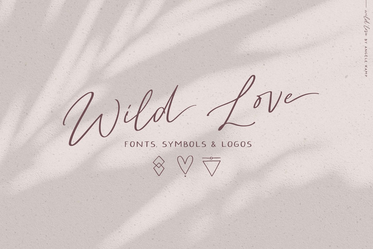 20 Beautiful Modern Calligraphy Fonts - Sugar Studios Design